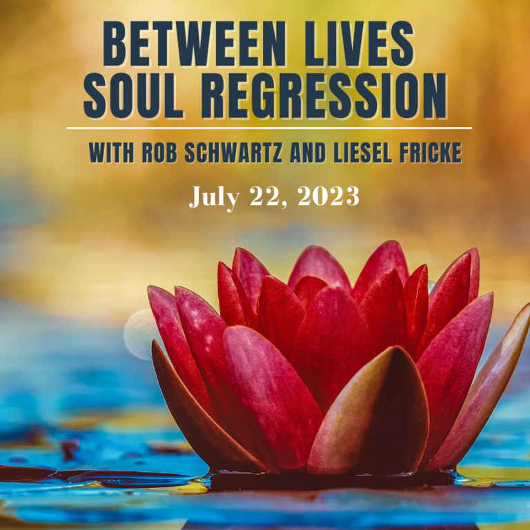 Your Soul's Plan | Discovering your Pre-birth Life Plan