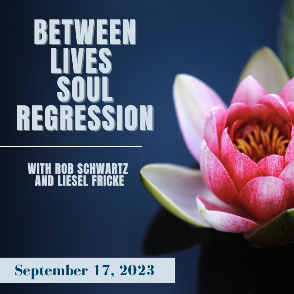 Your Soul's Plan | Discovering your Pre-birth Life Plan